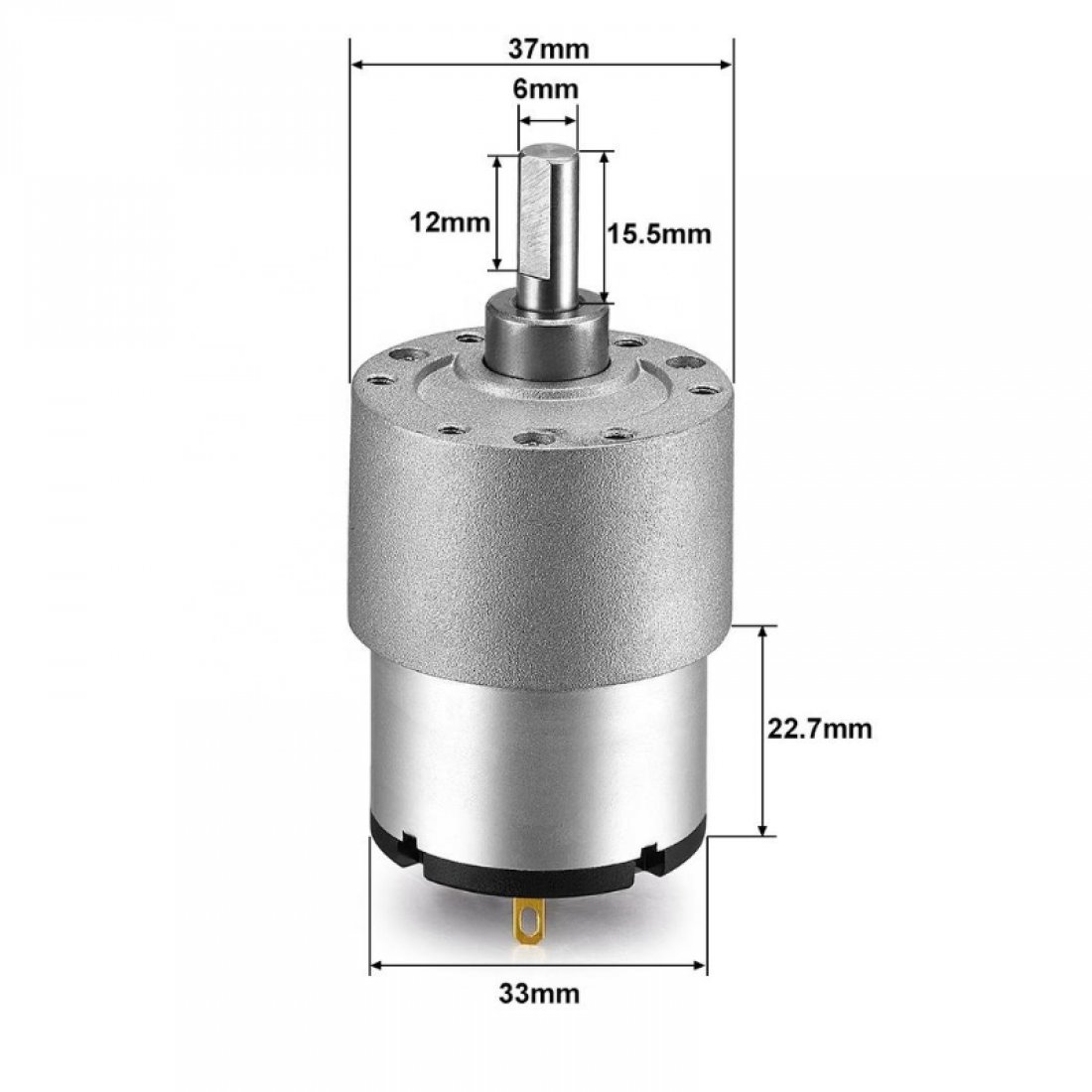 Motor DC 12V-80RPM